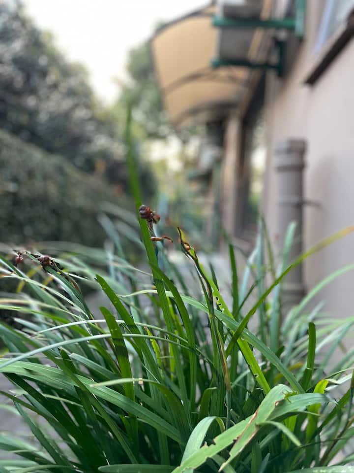 Load-shedding-free Studio Apartment! - Pretoria