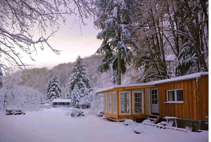 Jägerhütte I Kamin I Sauna I Flusszugang I Wald - Harz
