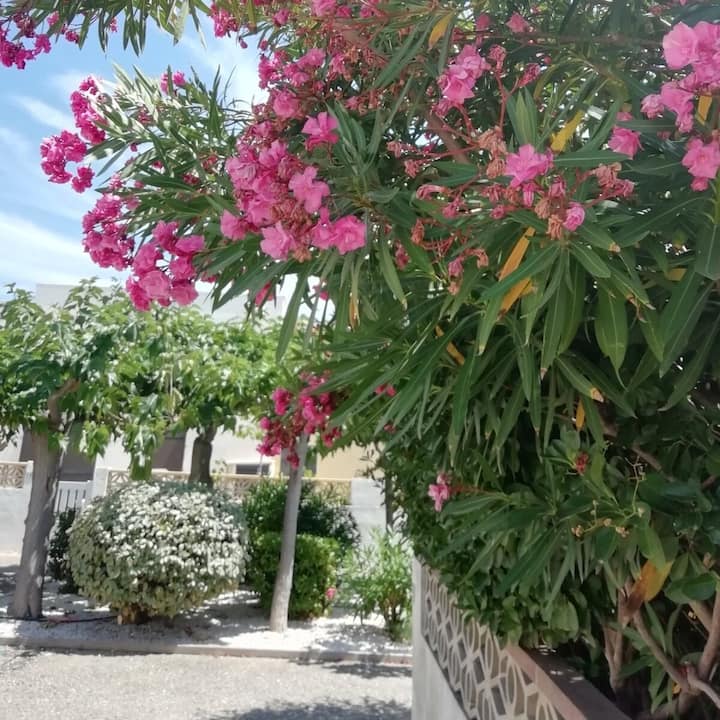 Appartement Au Bord De Mer - Le Barcarès