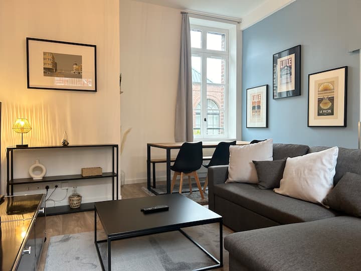 Vieux-lille Appartement Rénové Avec Une Chambre - Lille