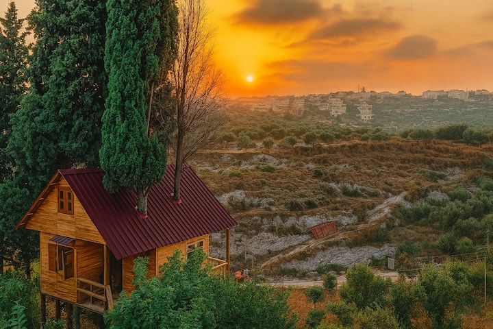 The Tree House - Libanon