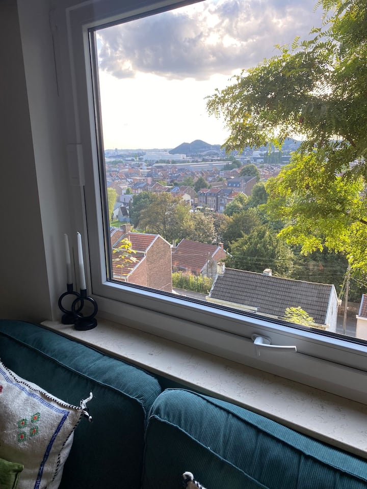 Villa Calme Vue Exceptionnelle Et Son Extérieur - Herstal