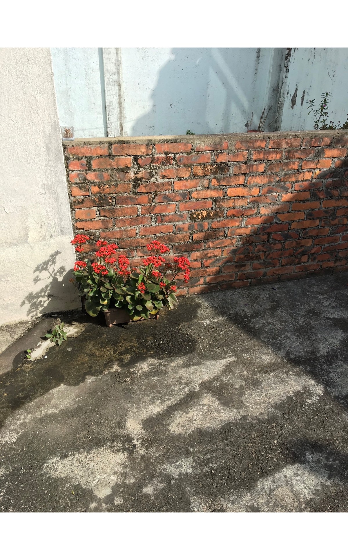 Comfort guest house 5 min Mtr - Minsu (Taiwan) for Rent in Hong Kong ...