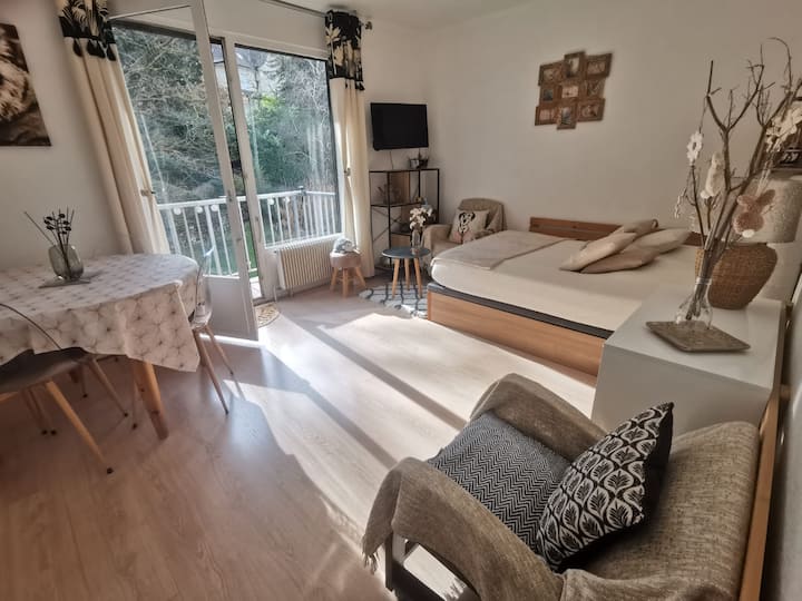 Studio 2 Pers Piscine Et Tennis - Aix-les-Bains