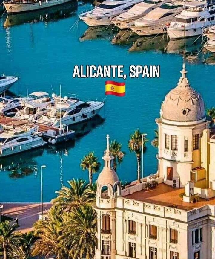 Diamante Apartamento - Alicante