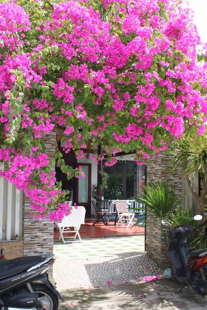 Green Getaway Hoi An – Near Beach & Pool - Vietnam