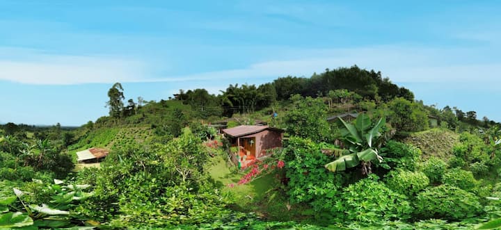 Tesorito House En Las Montañas Del Quindío - Filandia