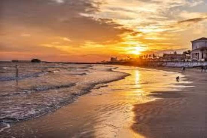 Ocean Oasis - Galveston, TX