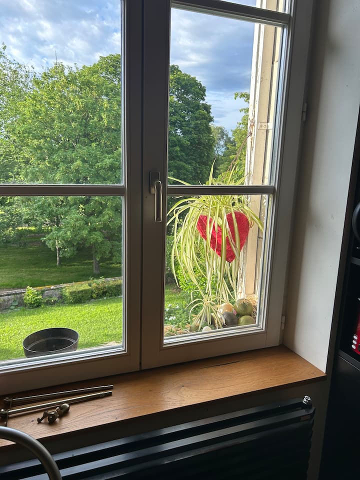 Appartement Lunéville 
4 à 5personnes 
Vue Parc - Lunéville