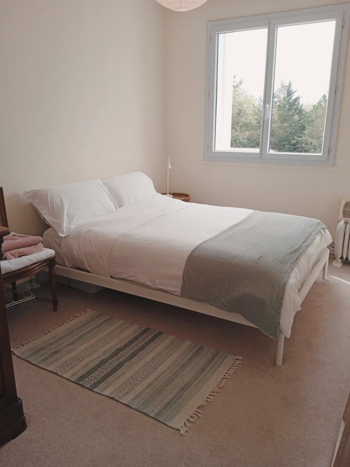 Chambre à Louer Près Du Parc Bordelais à Bordeaux - Mérignac