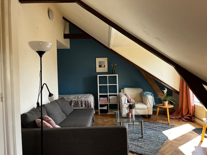Sfeervolle Etage In Prachtig  Jaren 20 Herenhuis. - Groningen