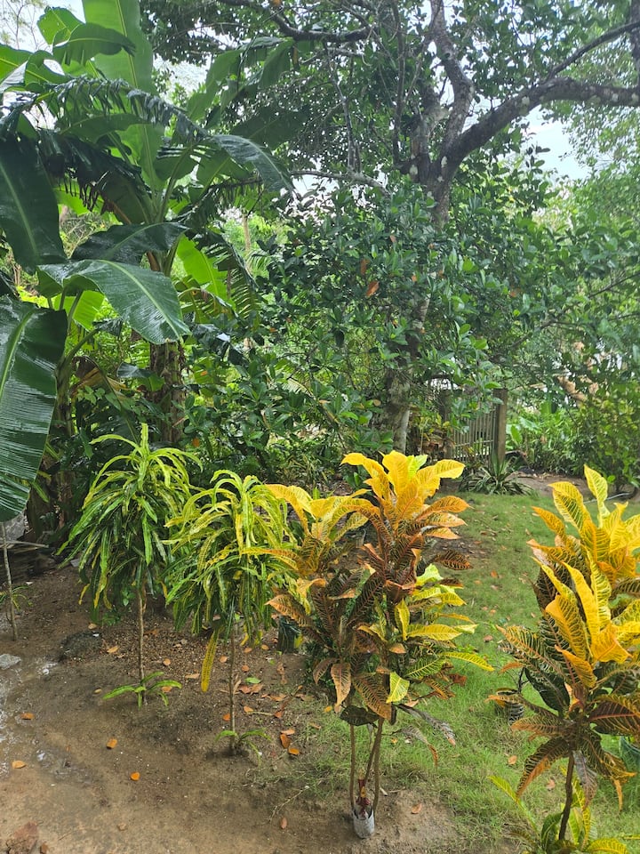 House For Rent 3/3 Bedroom - Busuanga