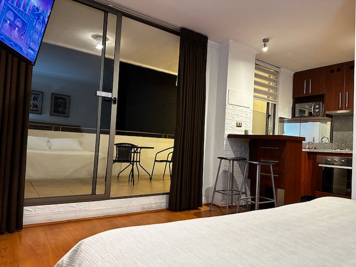 Confortable Y Equipado Departamento Providencia - Recoleta