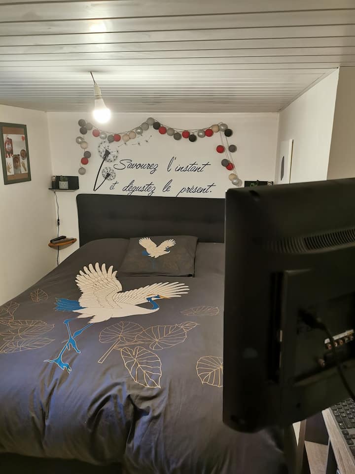 Maison Entière 10 Min Du Circuit - Le Mans