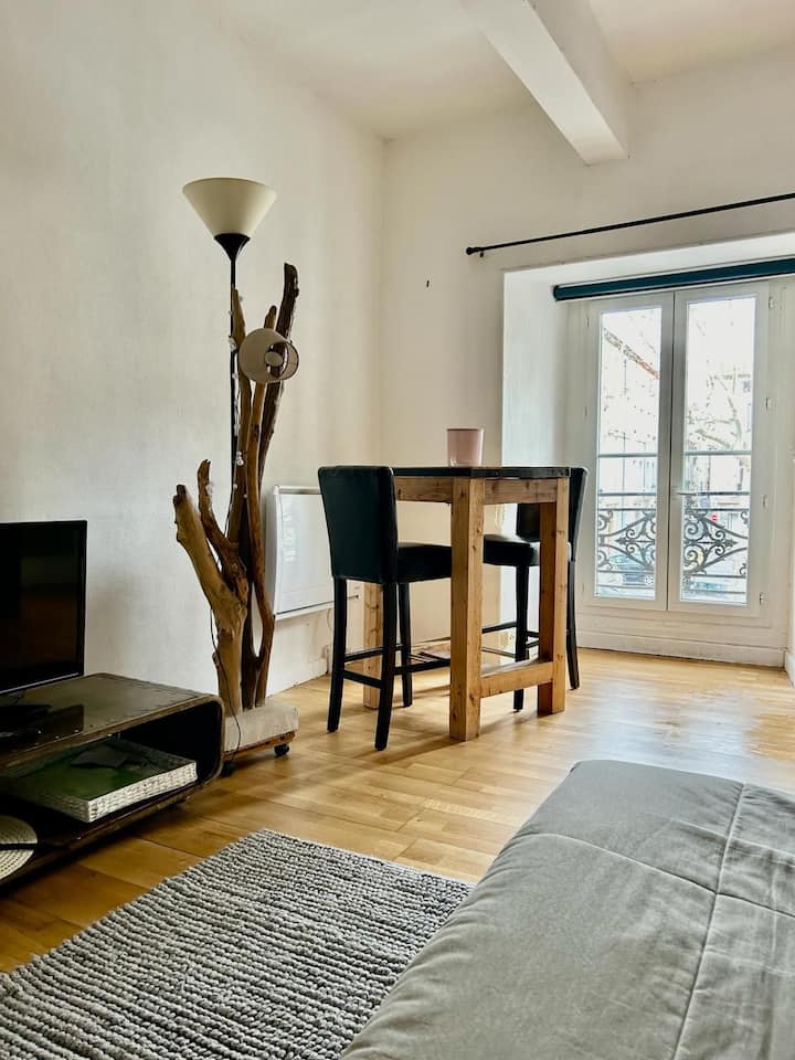 Appartement 2 Pièces Centre Historique - Ibis Budget Béziers Est La Giniesse