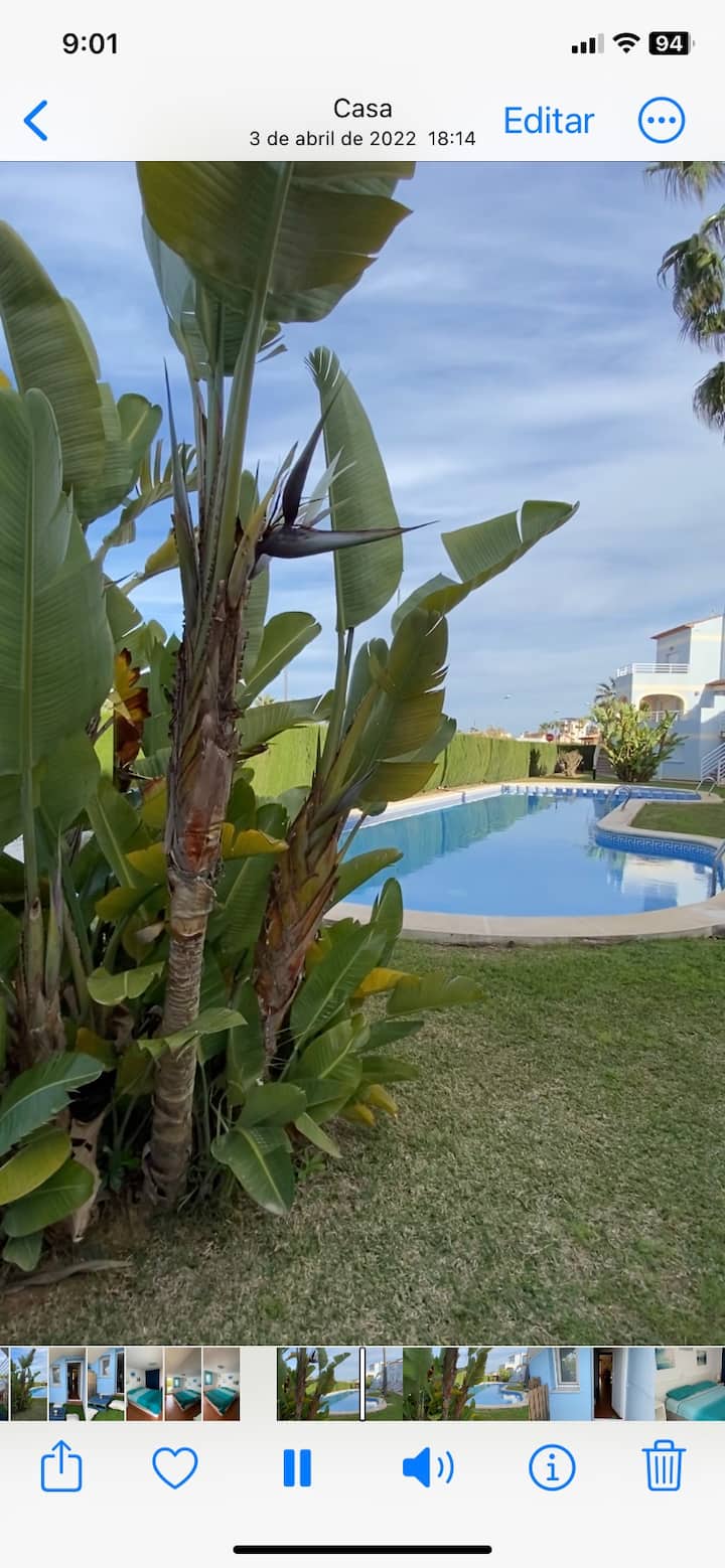 “Casita Del Surf” - Oliva