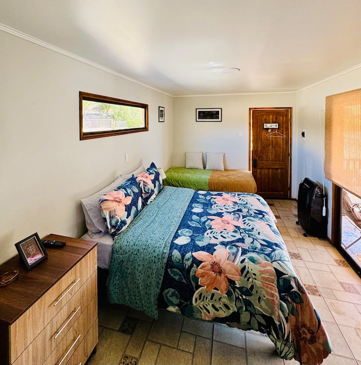 Loft El Durazno Terraza/climatizador 2-3 Personas - Vicuña