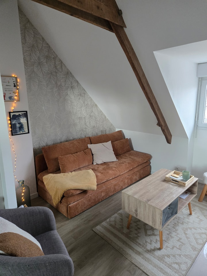 Appartement Cosy Centre-ville - Ducey