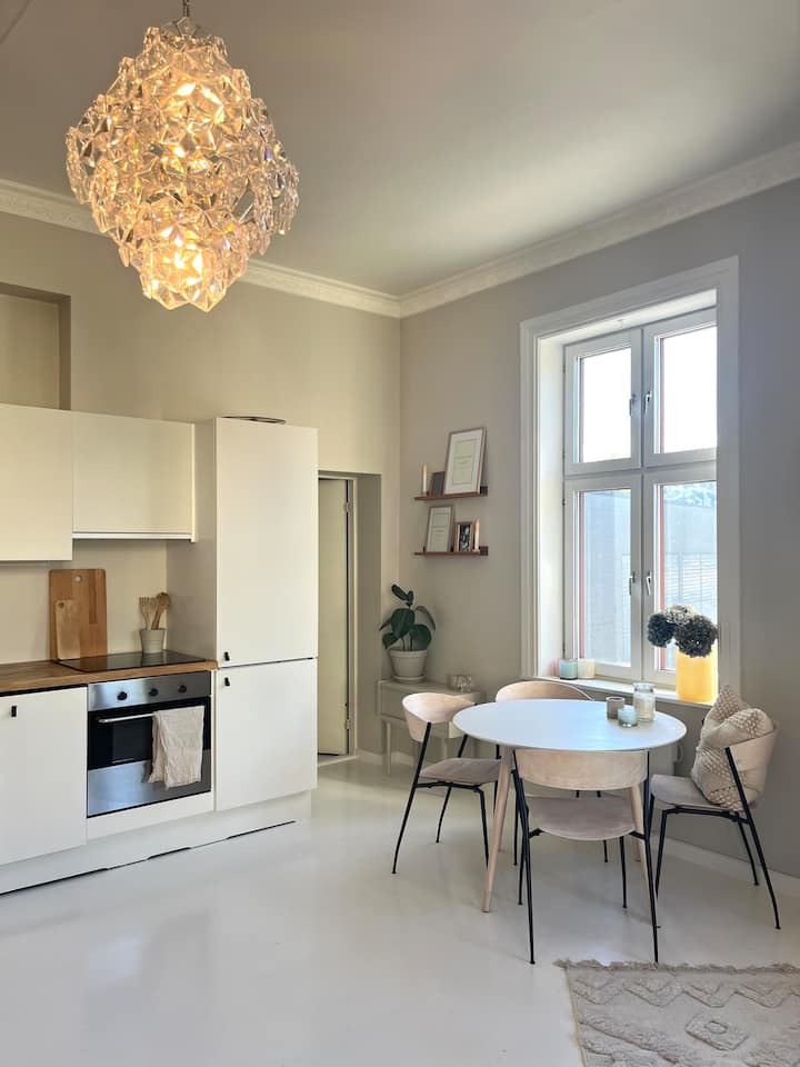 Sentral Leilighet For 2-3 Personer - Oslo