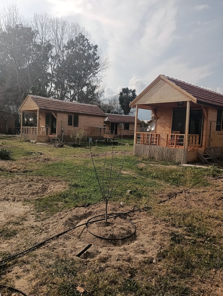 Denize Sıfır Evler - Anamur