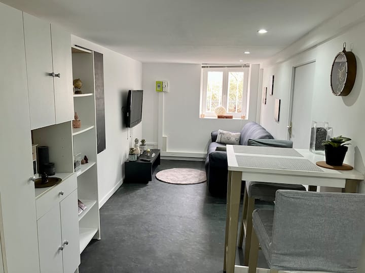 2 Pièces Pour 4, Calme, Fibre, Parking - Thoiry