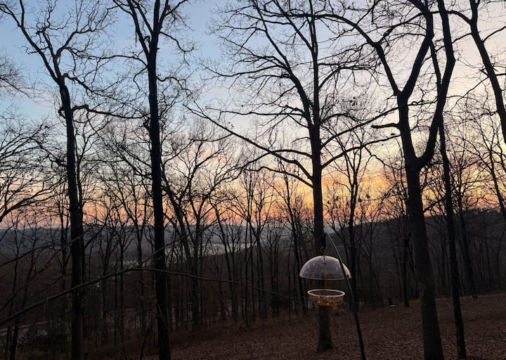 “Just Be” W/winter Views And Visits From The Birds - Lake Fort Smith State Park, Mountainburg