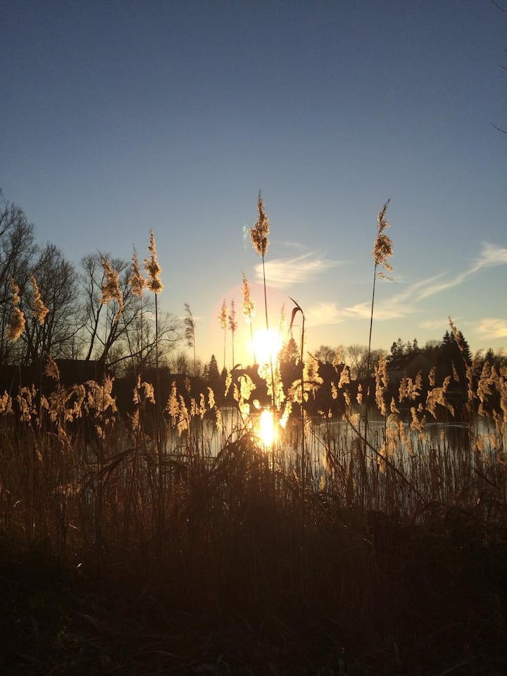 Bibernest - Mecklenburgische Seenplatte