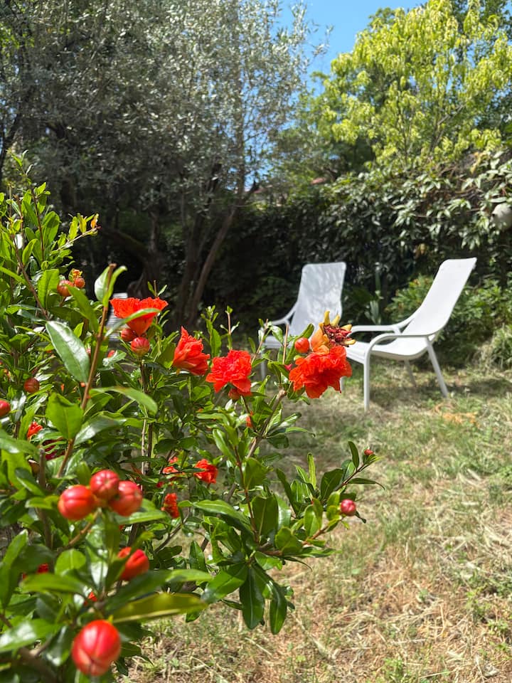 Hébergement De Charme Avec Jardin Centre De Nyons - Drôme