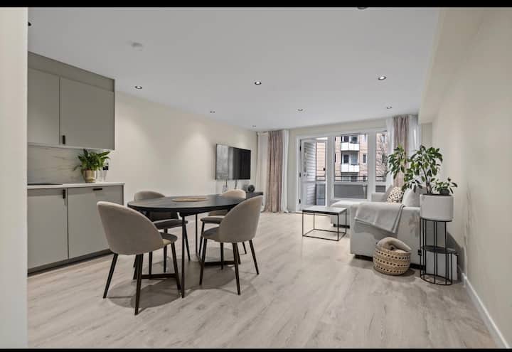 Central Luxurious Apartment - Oslo