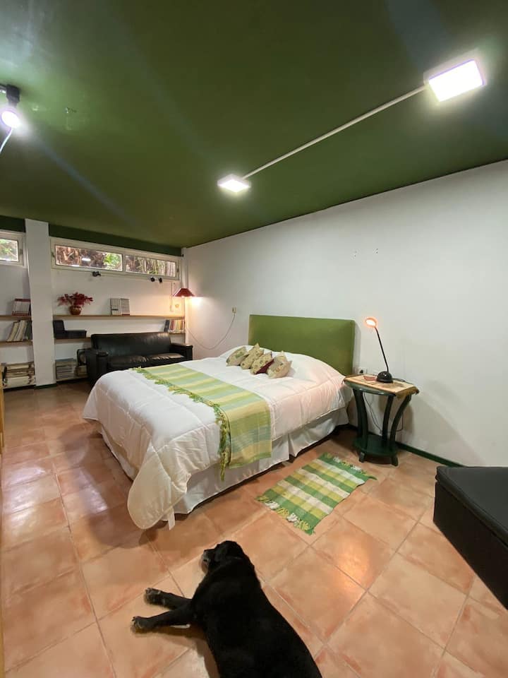 Loft Con Garage En La Mejor Ubicación De La Plata - La Plata