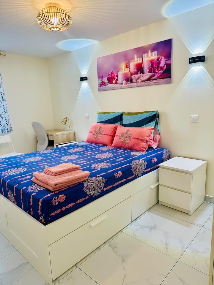 New Lux 60m² Entire Apart+air-condition Near Paris - Villemomble