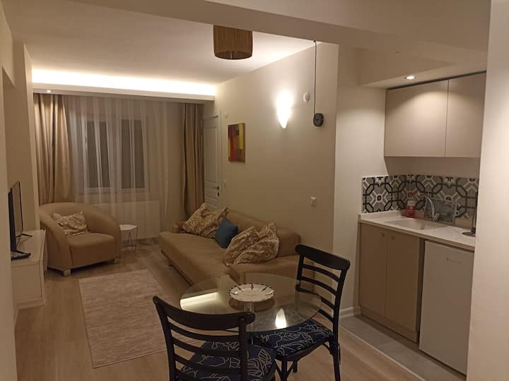 Cosy Designed 2+1 Flat - Bursa