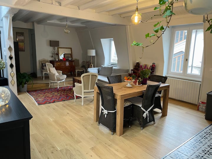 Charmant Appartement T3 Plein Centre Ville - 82m2 - Annecy-le-Vieux