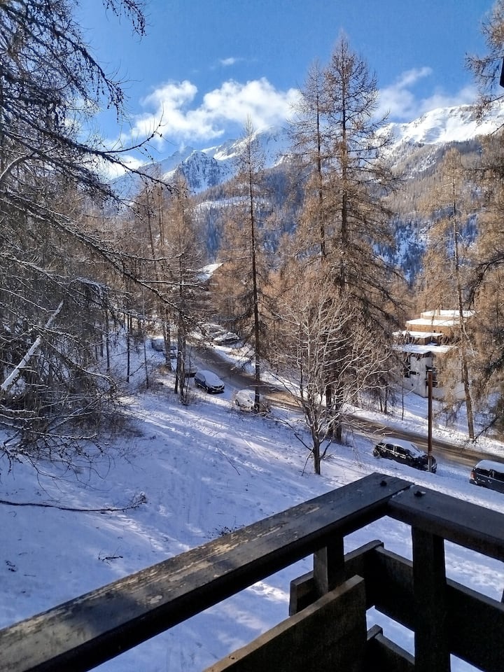 80m Des Pistes Et Tsg Prébois, Calme, Local Ski. - Hautes-Alpes