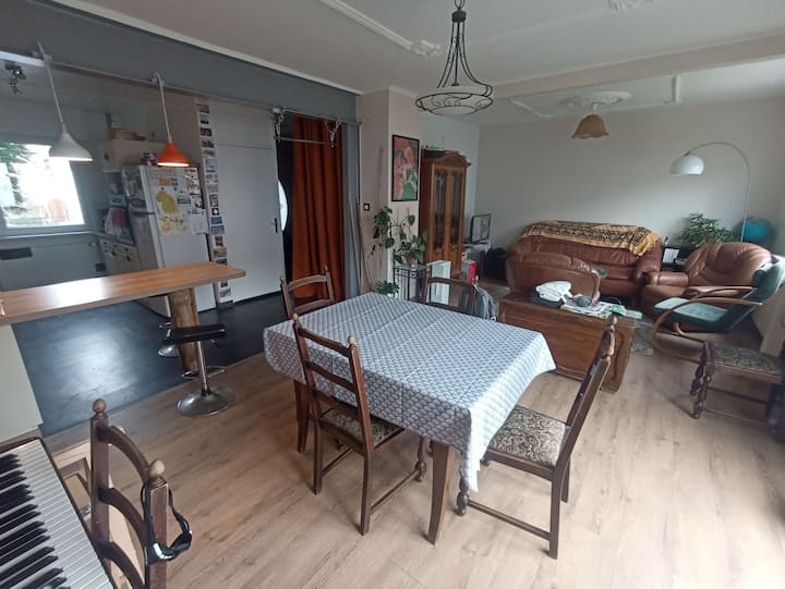 Maison Calme Parking Gratuit - La Wantzenau