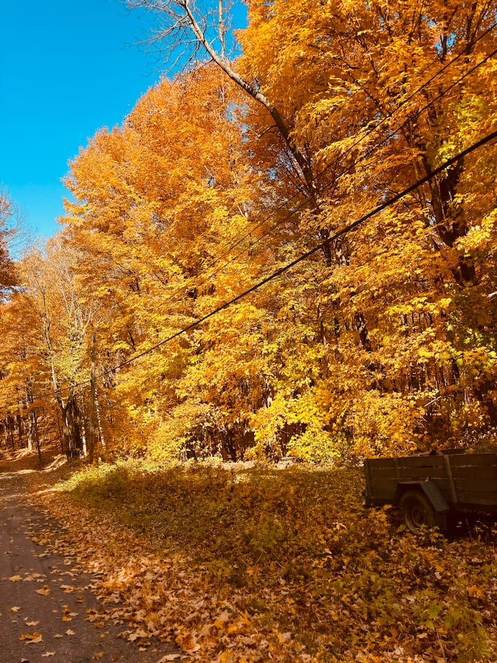 Lines Camp - Huntsville