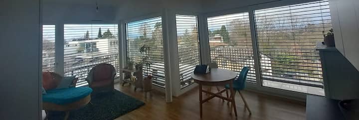 Individueller Neubau - Attika Dachgeschosswohnung - Fribourg-en-Brisgau