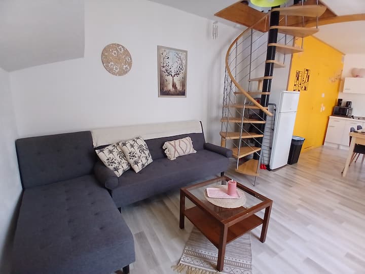 Le Gîte " La Cour" - Vosges