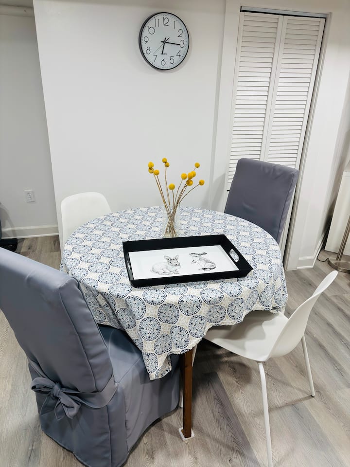 Entire Lower Floor Private Apartment. - Silver Spring, MD