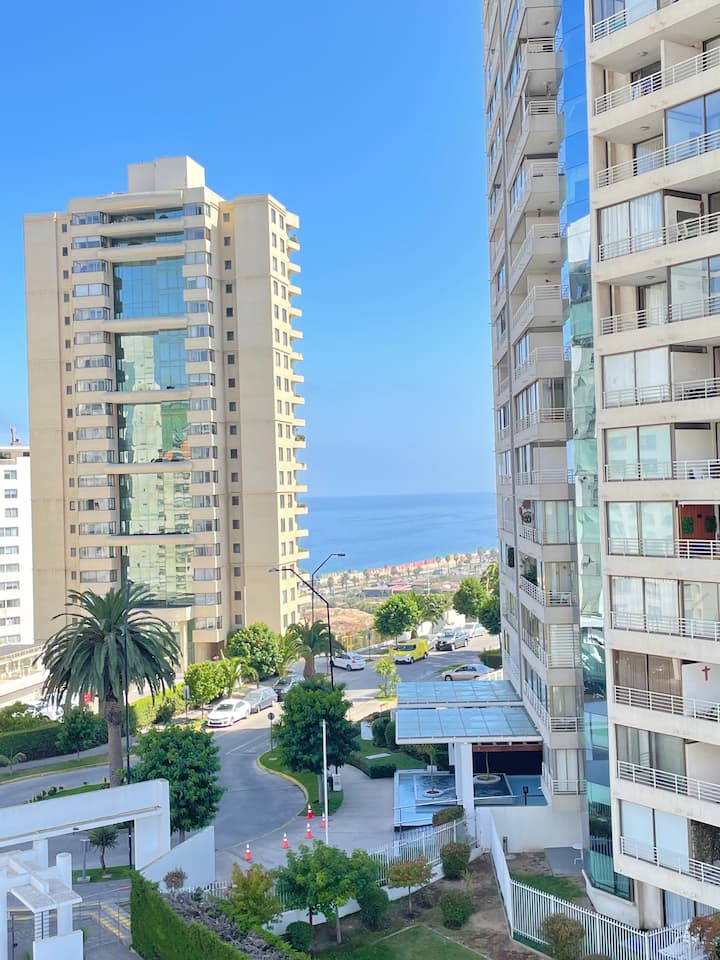Disfruta De Viña Del Mar! - Viña del Mar