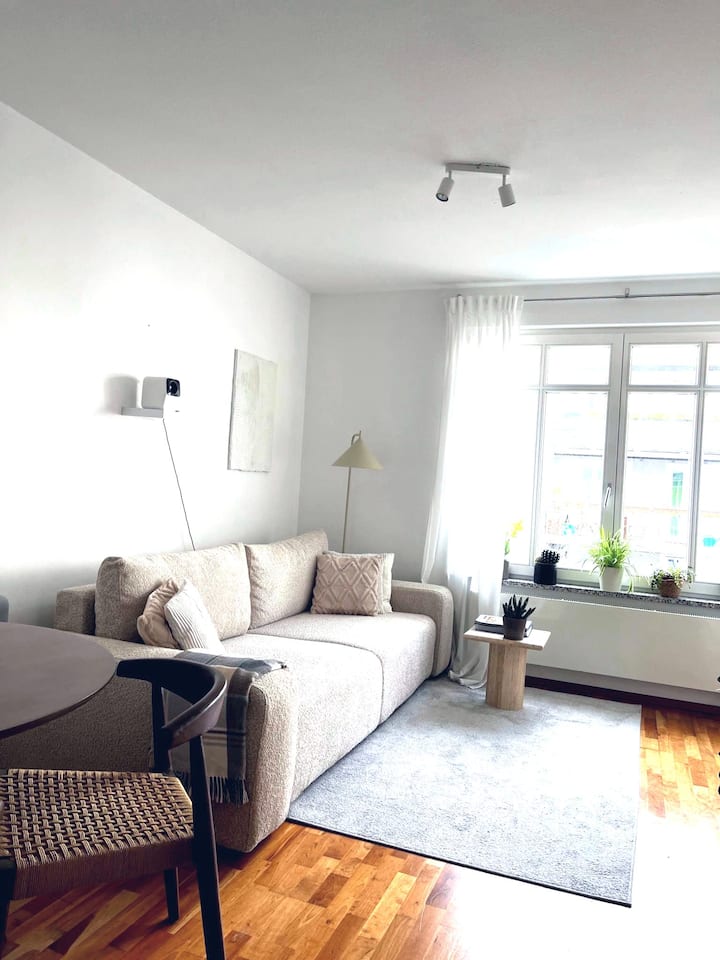 Renovated Apartment In The Centre Of Munich - ミュンヘン