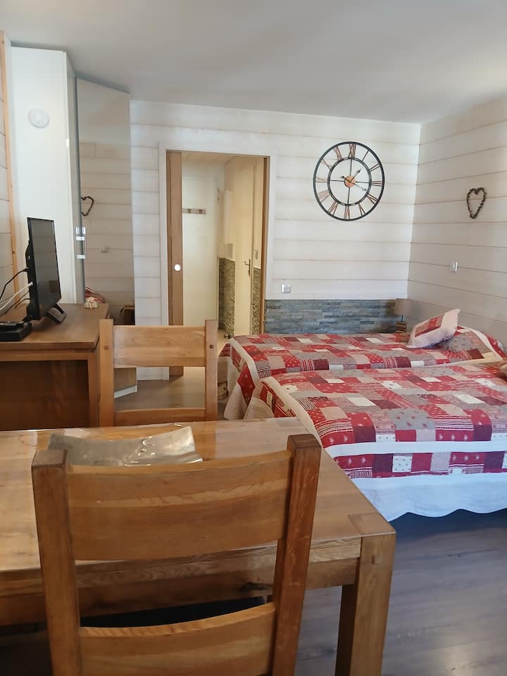 Studio Idéal Pour Cure Et Sejour Ski - Brides-les-Bains