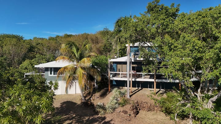 Coqui; Rustic Chic And Magical (Coquita's Sister) - Culebra