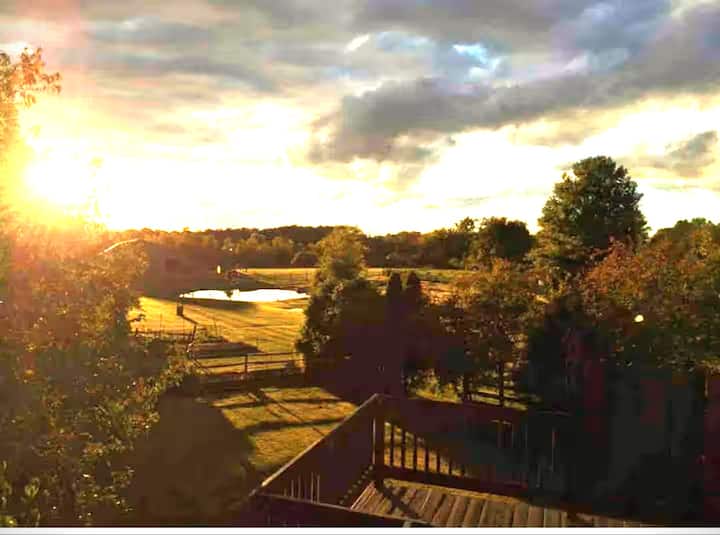 Brupoppy Farm A Cozy Farmhouse Near National Park - Peninsula, OH