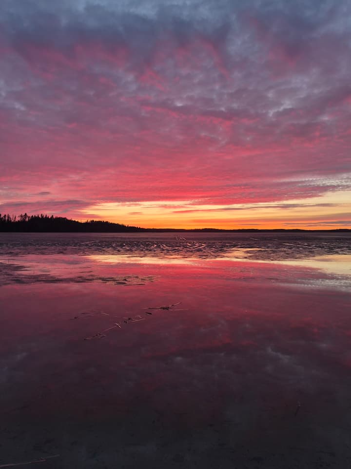 Viihtyisä Yksiö Luonnon Helmassa - Joutsa