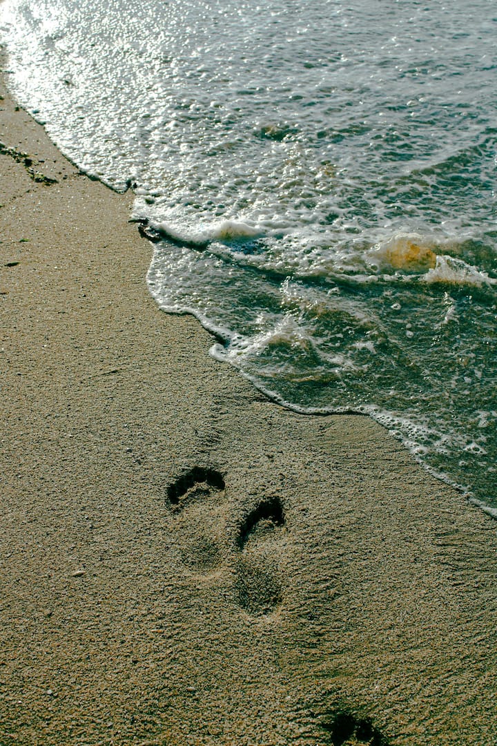 Lake Michigan Beaches + Wine Trail, Bring The Pup - Michigan