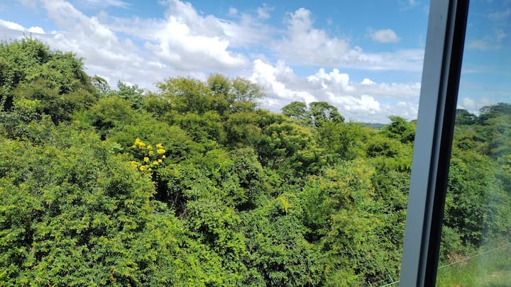 Flôr Do Sol. - Confins