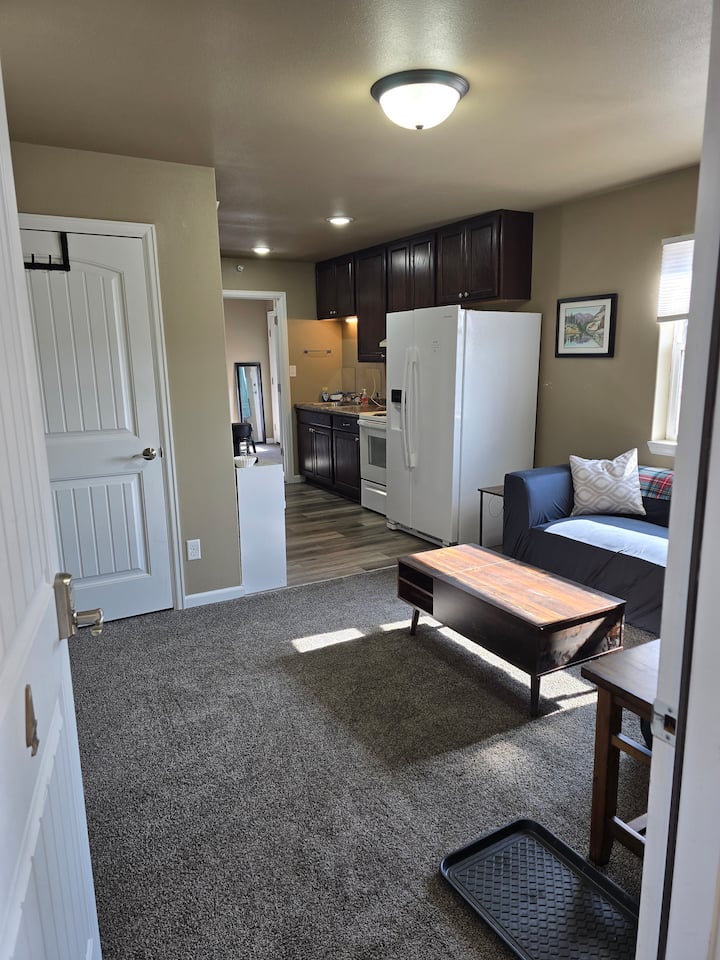 Whole Apartment & Private Patio! - Laramie