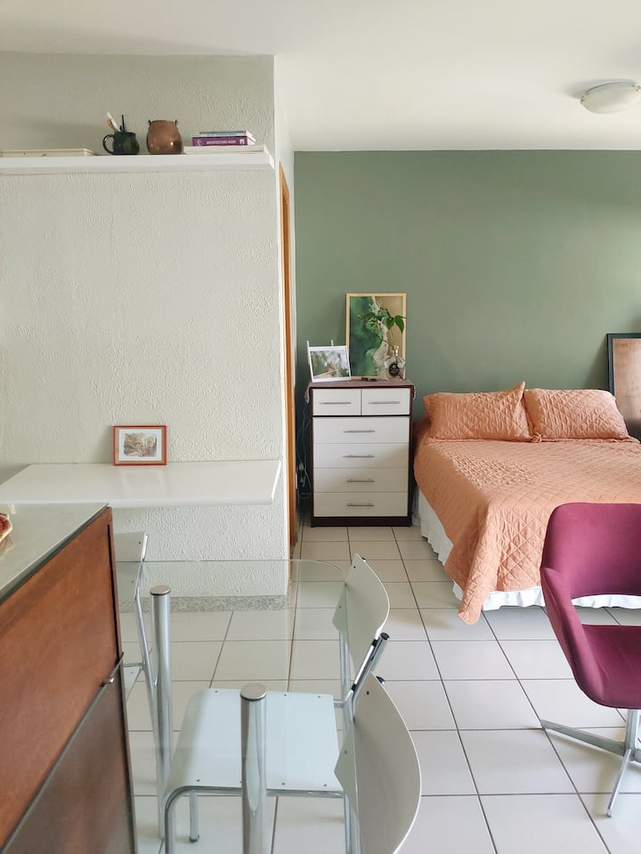 Loft Completo Com óTima Localização Na Asa Sul - Brasil