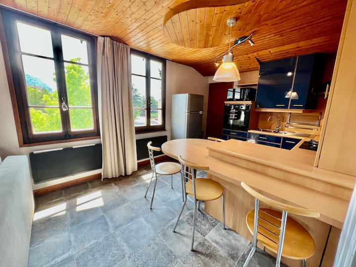 La Branche Du Cerisier 200m/lac - Annecy